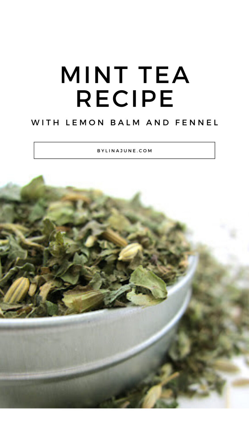 How to make Mint Tea - by Lina & June