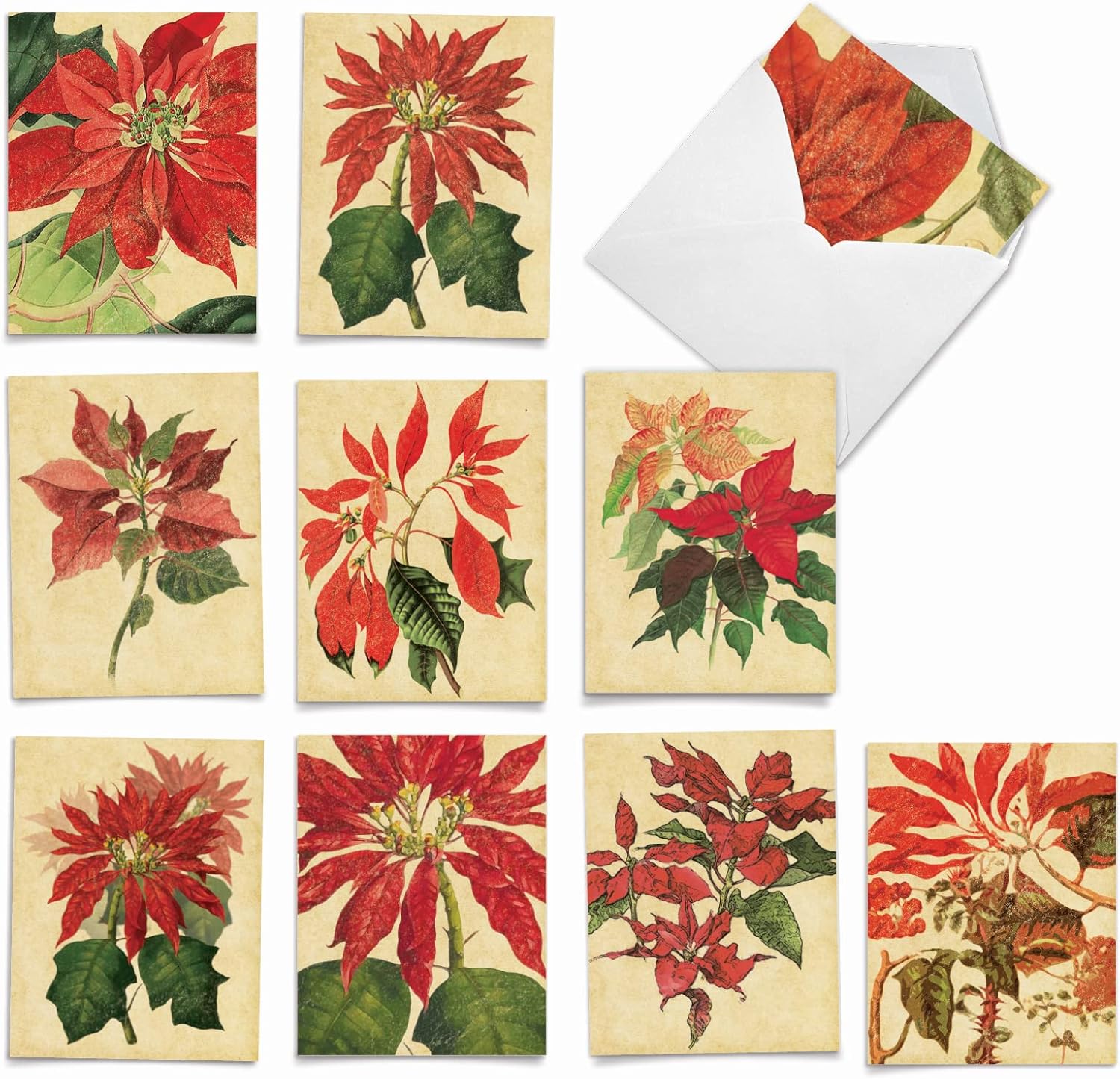 Free Vintage Holiday Printables - Evergreen, Holly, Poinsettia - by ...